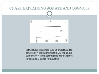 ancestral vs joint family properties.ppt