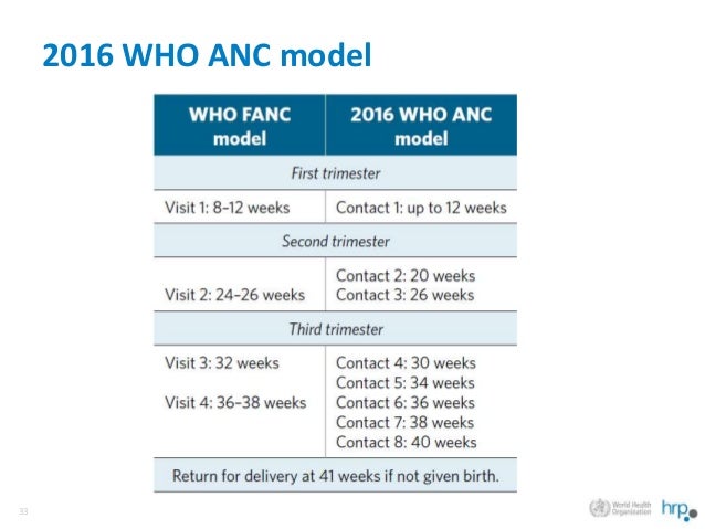 WHO Anc guideline presentation