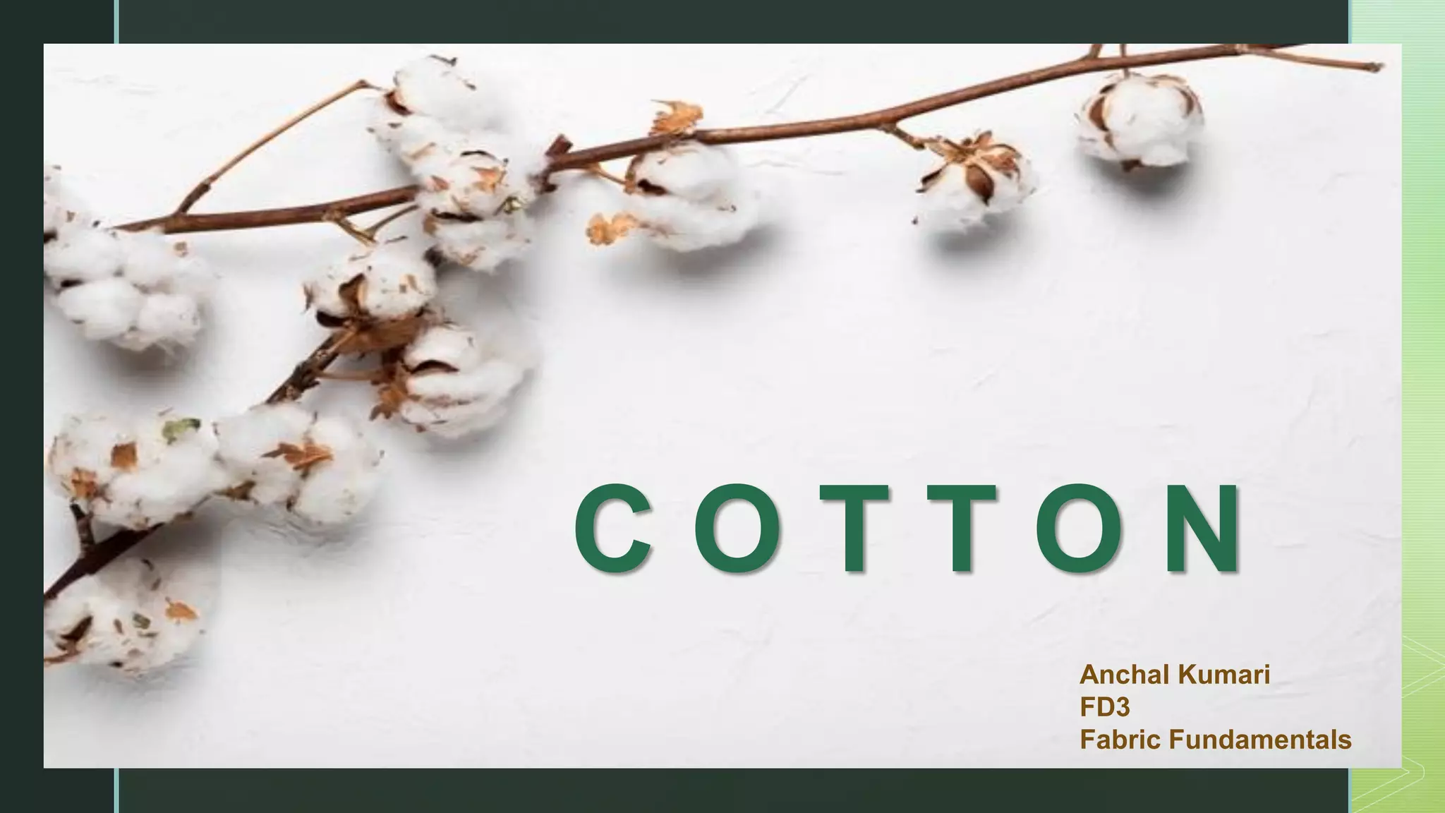 Cotton - Natural Fiber | PDF