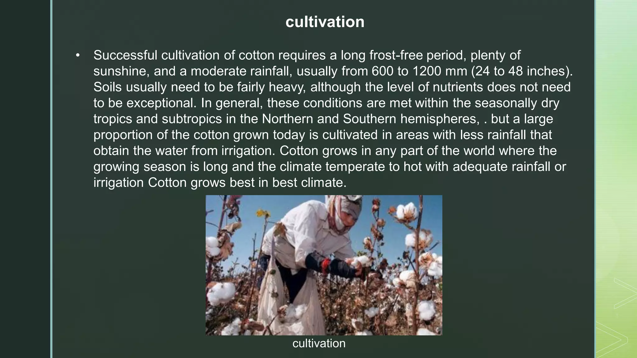 Cotton - Natural Fiber | PDF