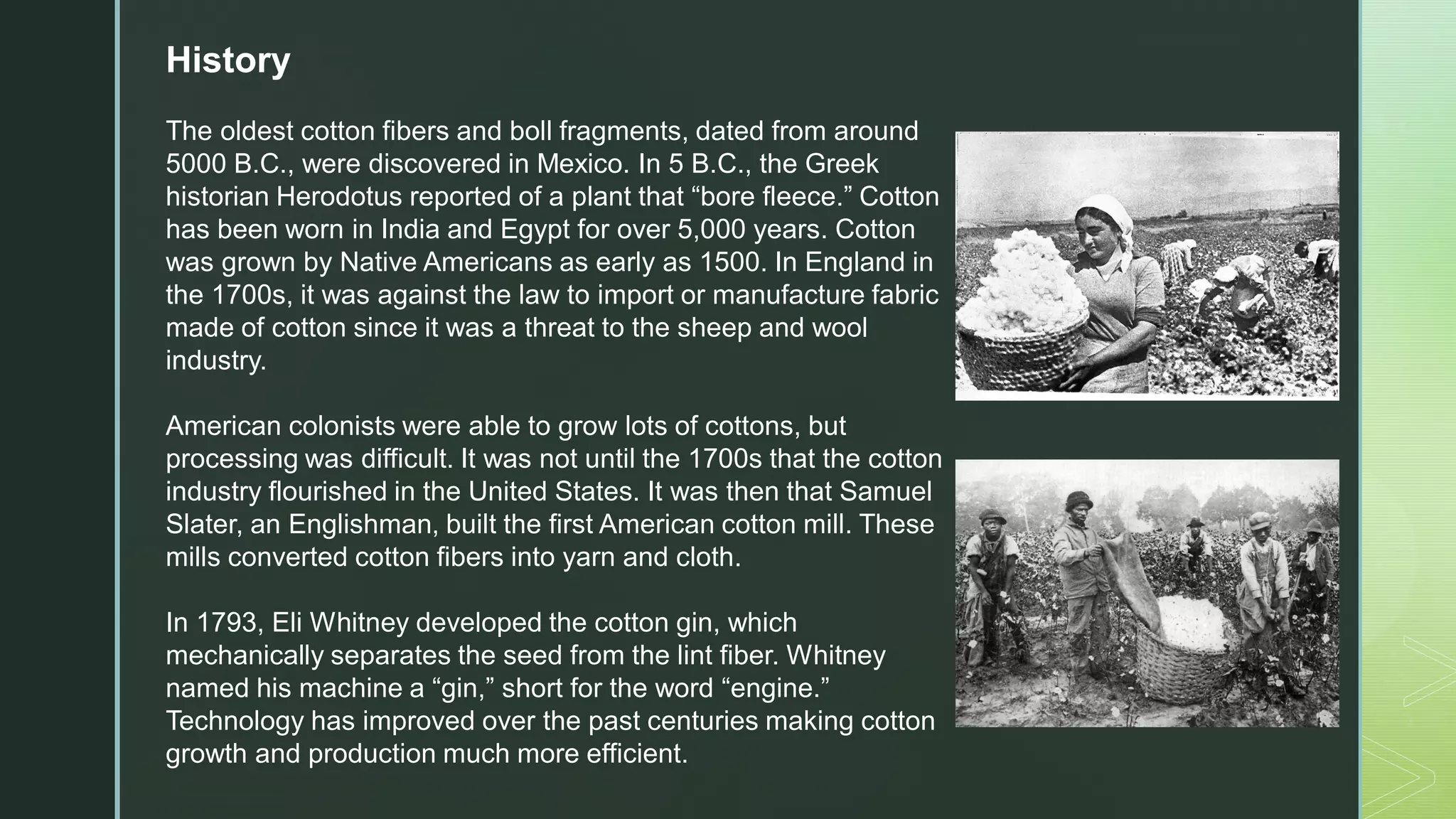 Cotton - Natural Fiber | PDF