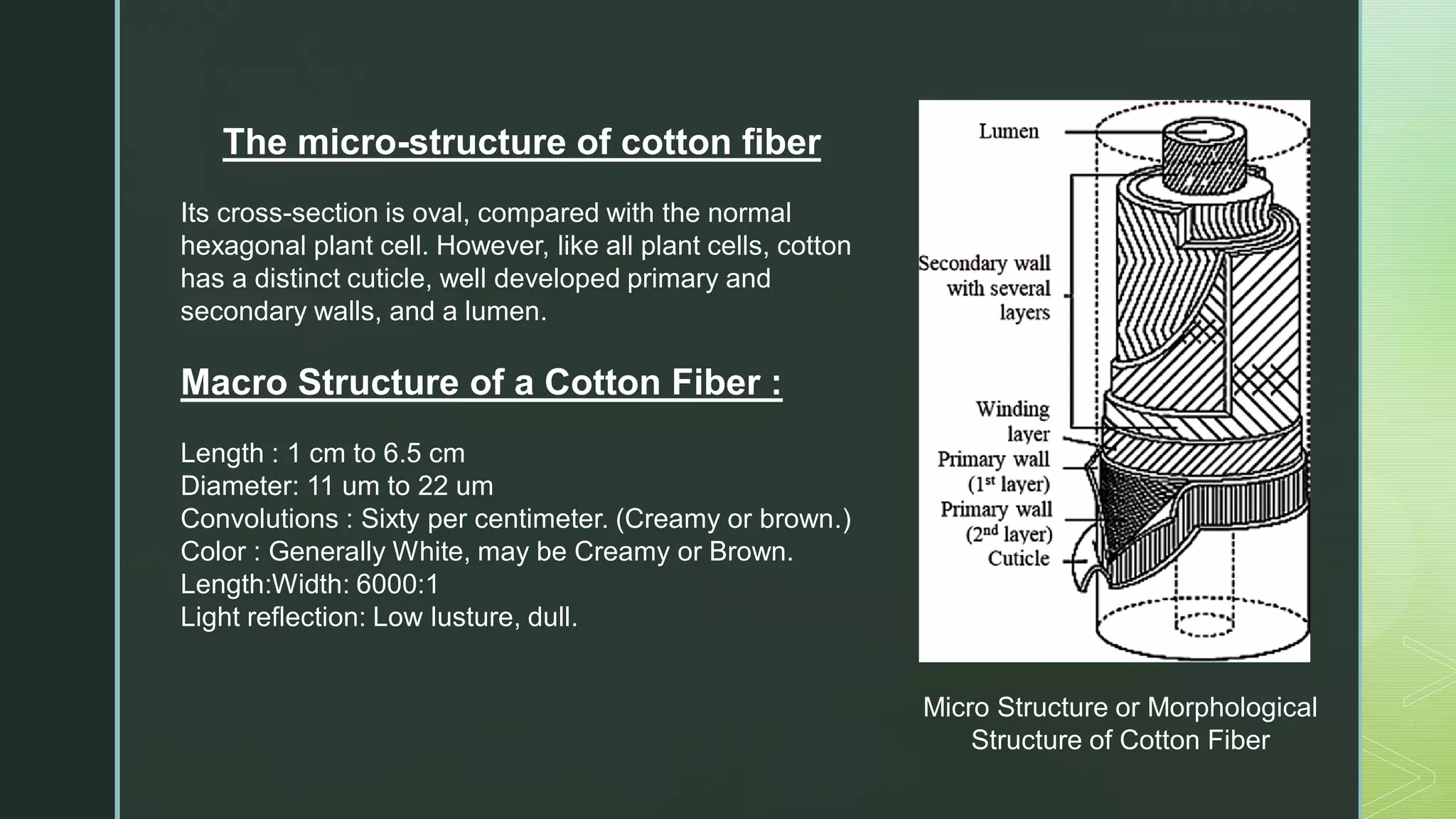 Cotton - Natural Fiber | PDF