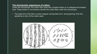 Cotton - Natural Fiber | PDF | Needlework | Arts and Crafts