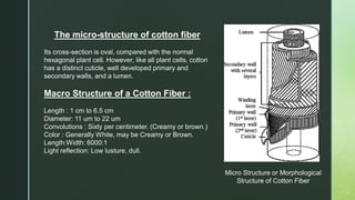 Cotton - Natural Fiber | PDF | Needlework | Arts and Crafts