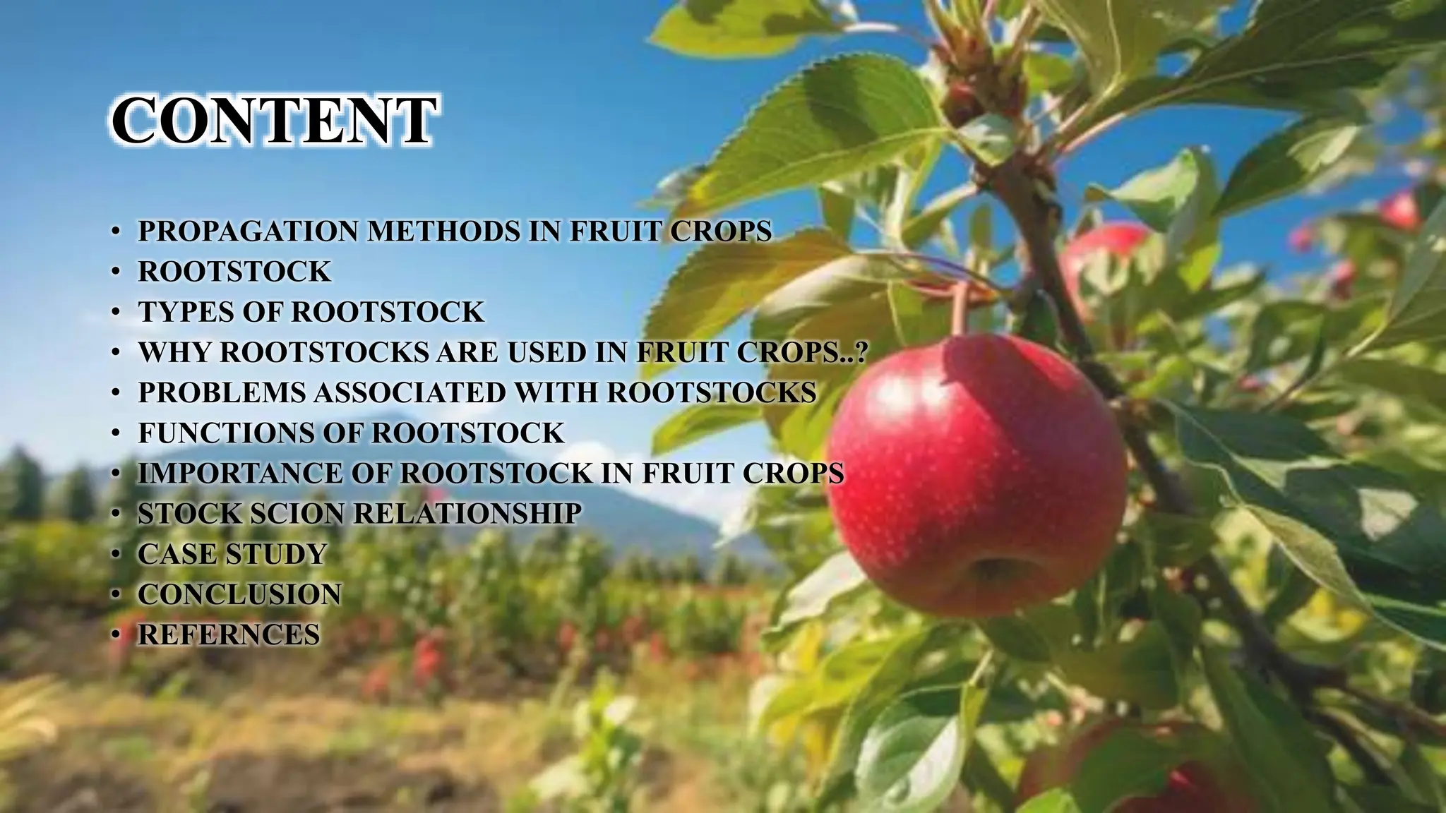 ANCHAL SHARMA.pptx ROOTSTOCK INFLUENCE ON FRUIT CROPS | PPTX