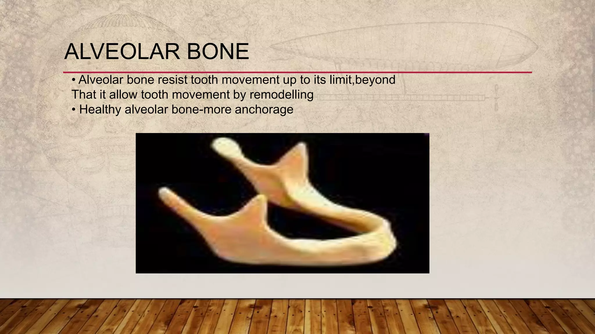 Anchorage in orthodontics | PPTX