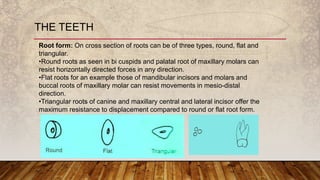 Anchorage in orthodontics | PPTX