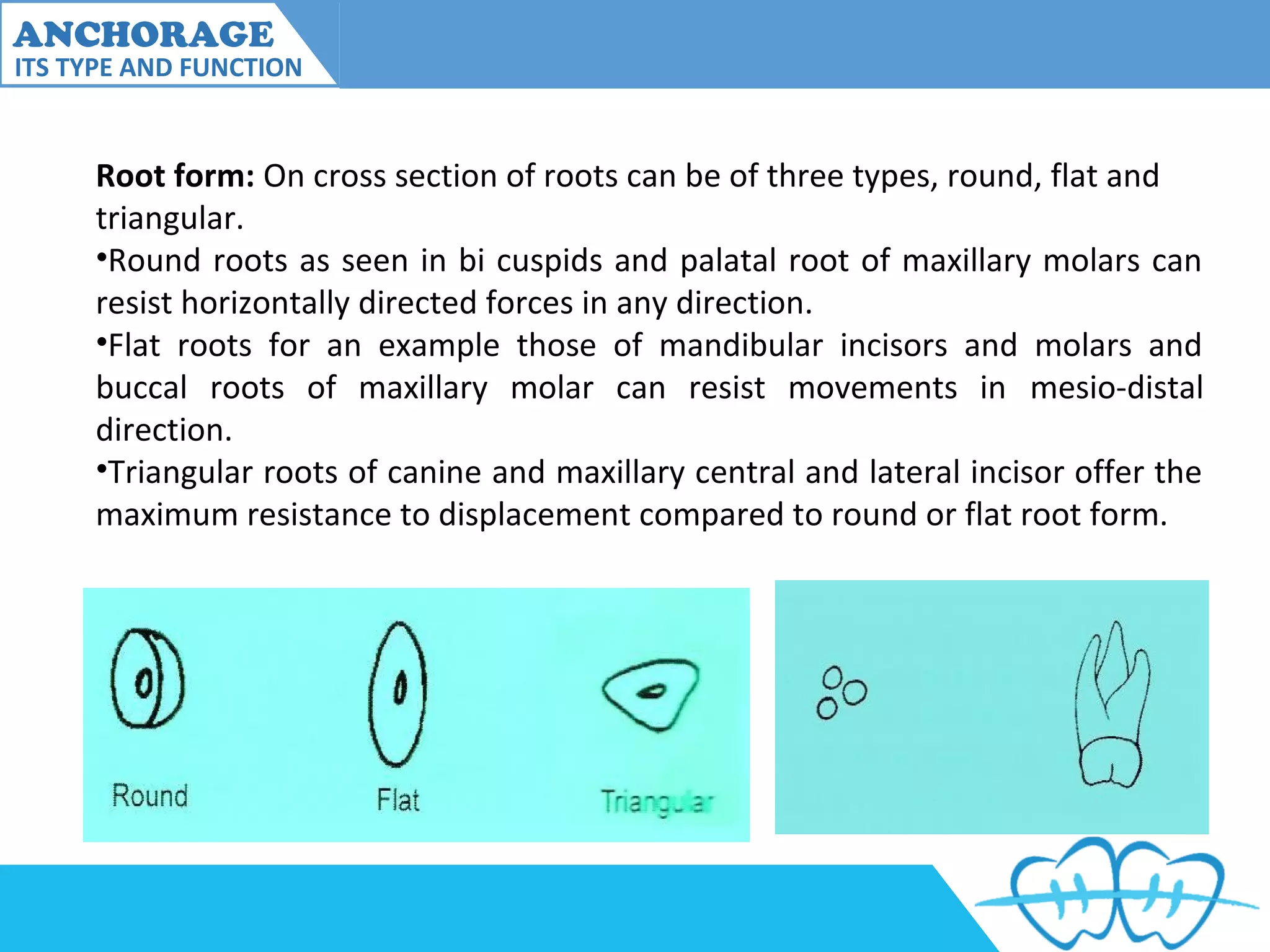Anchorage and its type and variations | PPT