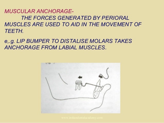 Anchorage in orthodontics
