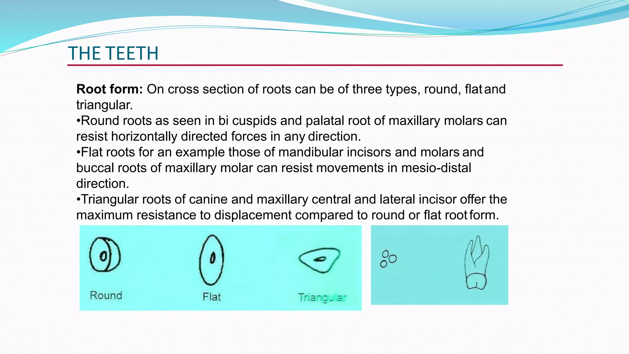 Anchorage in orthodontics | PPTX