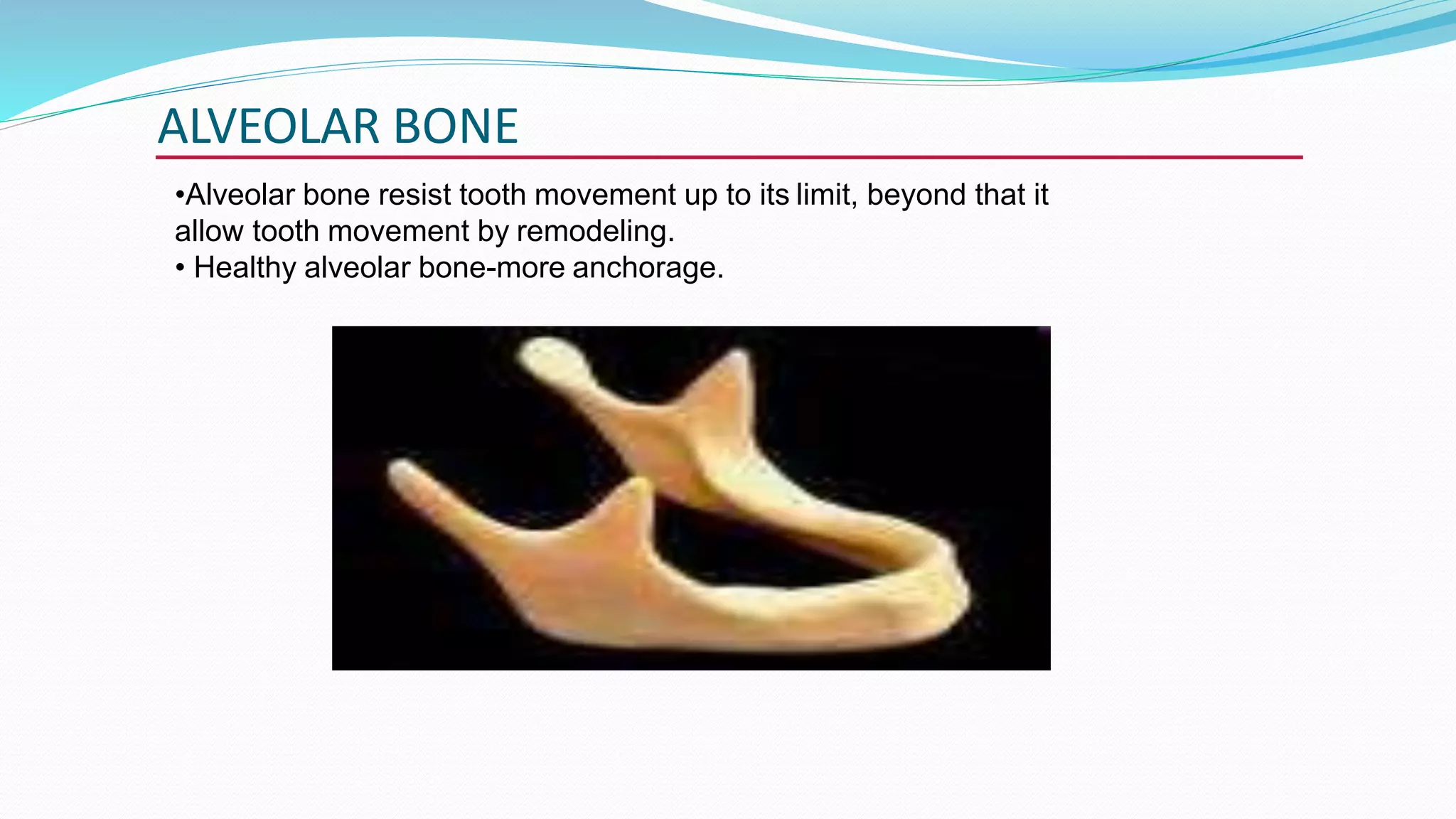 Anchorage in orthodontics | PPTX