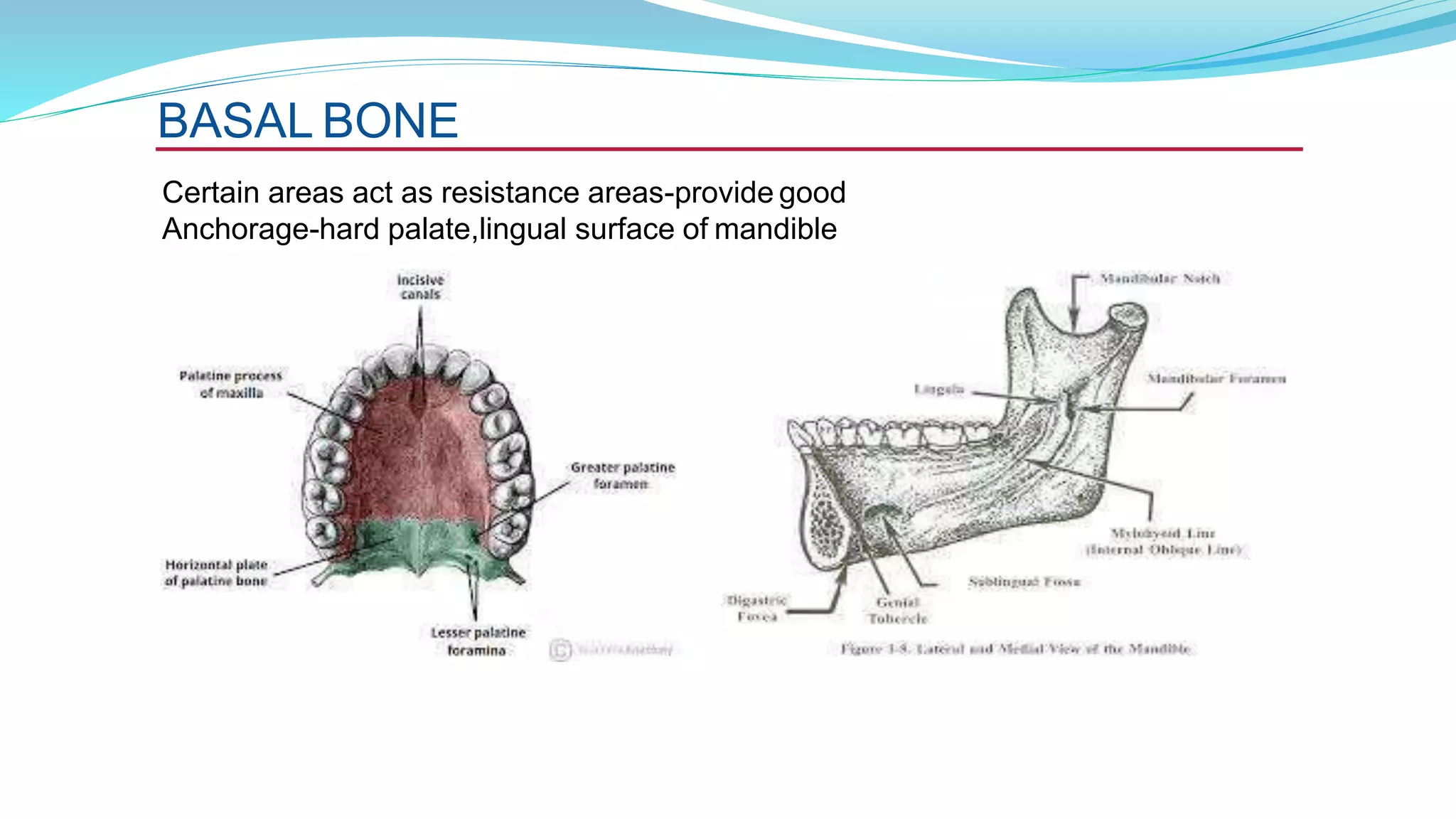 Anchorage in orthodontics | PPTX
