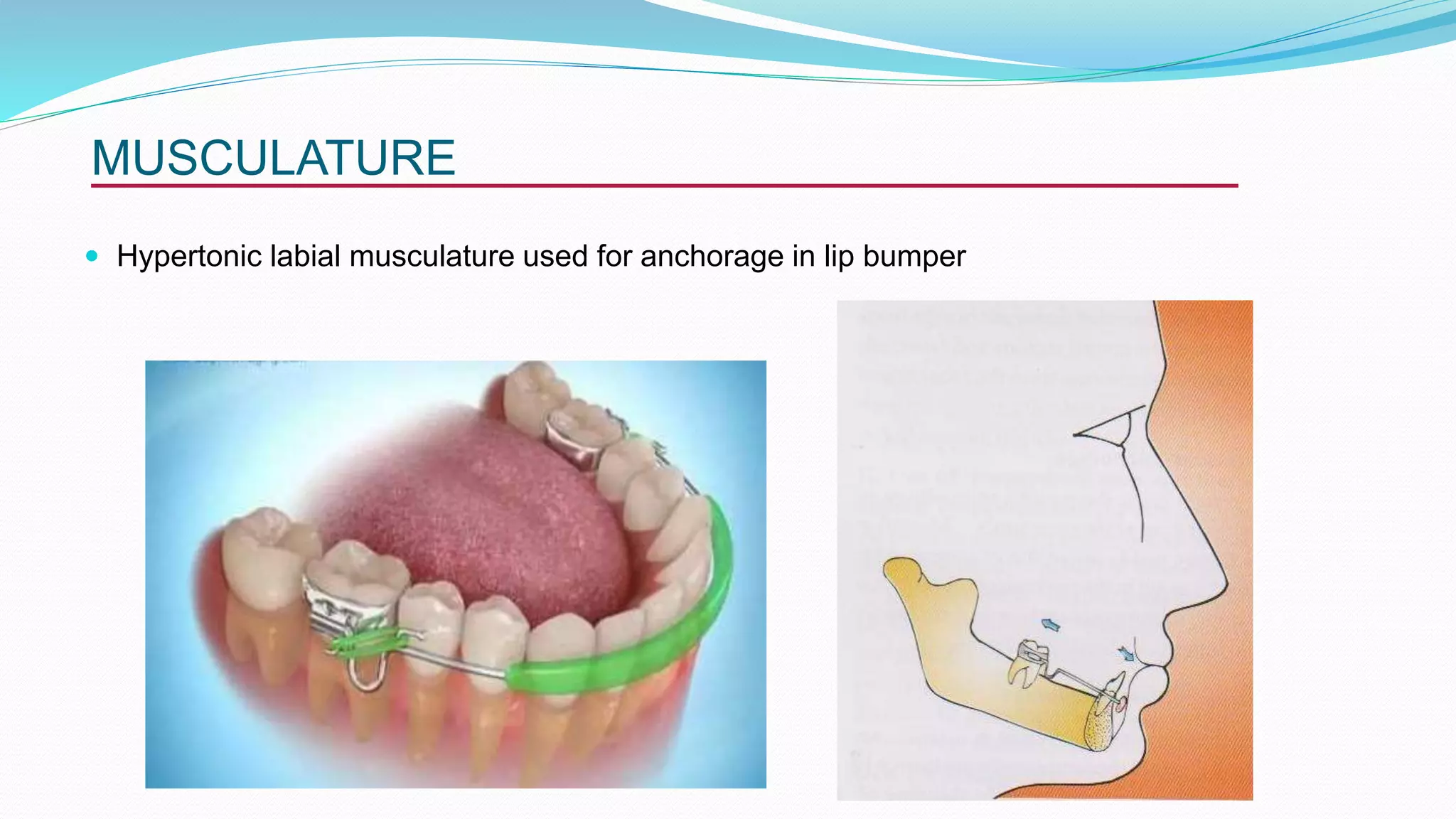 Anchorage in orthodontics | PPTX