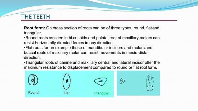 Anchorage in orthodontics | PPTX