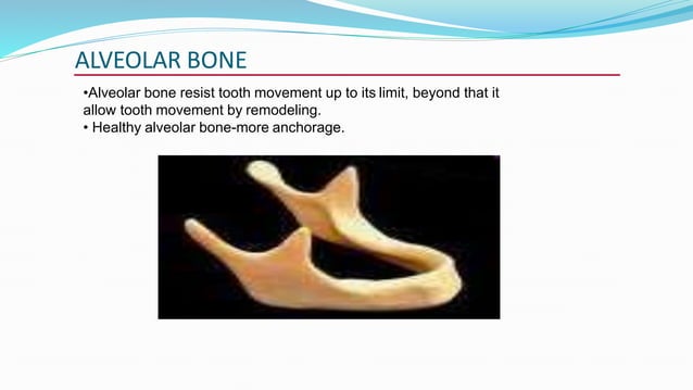 Anchorage in orthodontics | PPTX