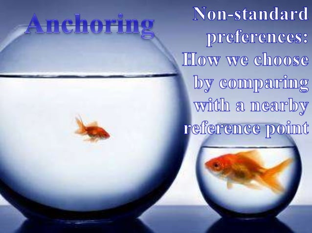 Anchoring skill For BA First Year, SRTMU | PPT