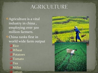 Ancient chinese-civilization | PPT