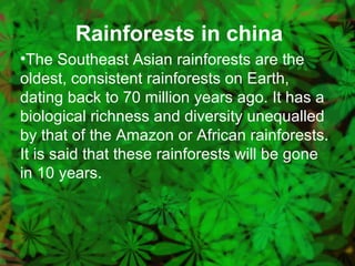 Ancient China Project Part 1 | PPT