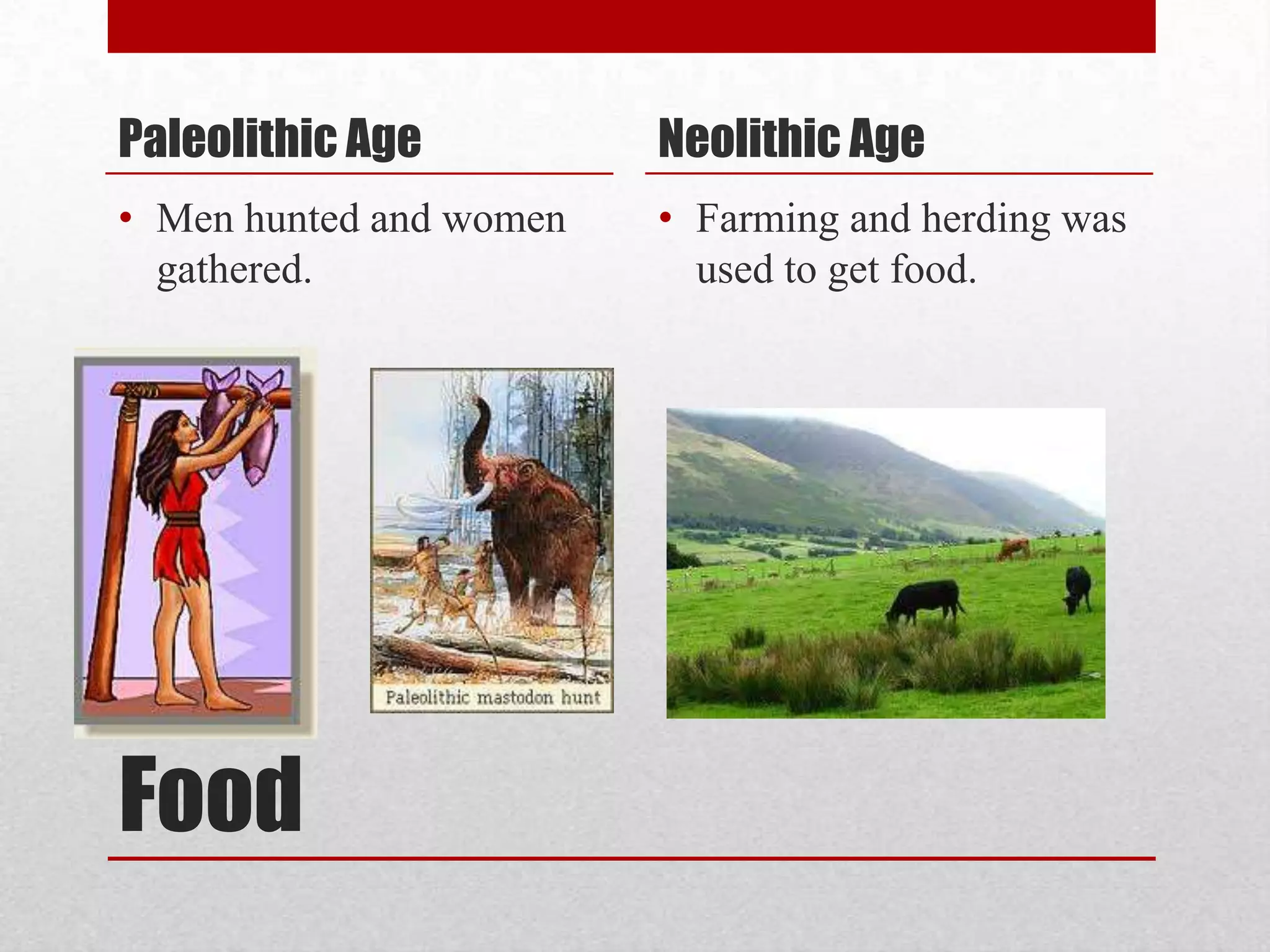 Prehistory Project | PPTX