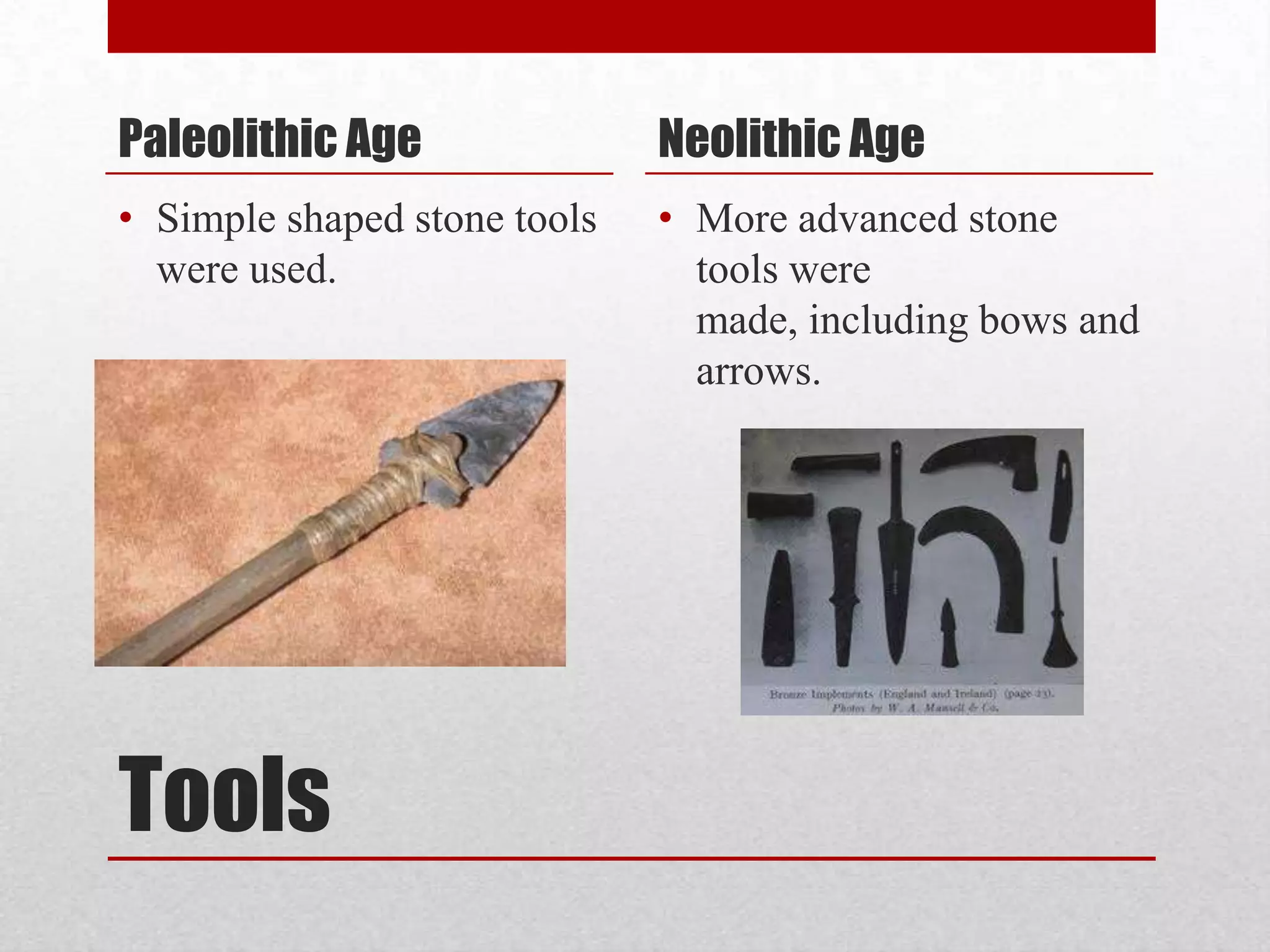 Prehistory Project | PPTX