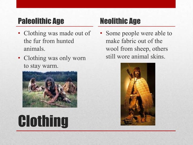 Prehistory Project | PPTX