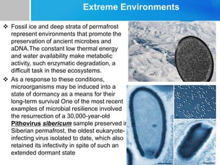 PALEO MICROBIOLOGY : A SNAPSHOT OF ANCIENT MICROBES AND APPROACHES TO ...