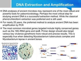 PALEO MICROBIOLOGY : A SNAPSHOT OF ANCIENT MICROBES AND APPROACHES TO ...