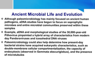 PALEO MICROBIOLOGY : A SNAPSHOT OF ANCIENT MICROBES AND APPROACHES TO ...