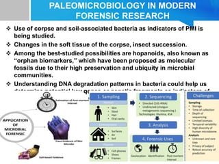 PALEO MICROBIOLOGY : A SNAPSHOT OF ANCIENT MICROBES AND APPROACHES TO ...