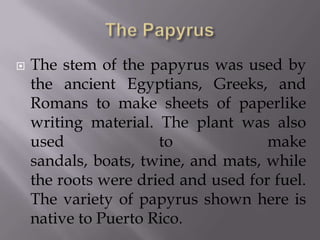 Ancient egypt | PPTX