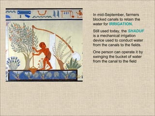 Ancient Egyptian Irrigation Systems