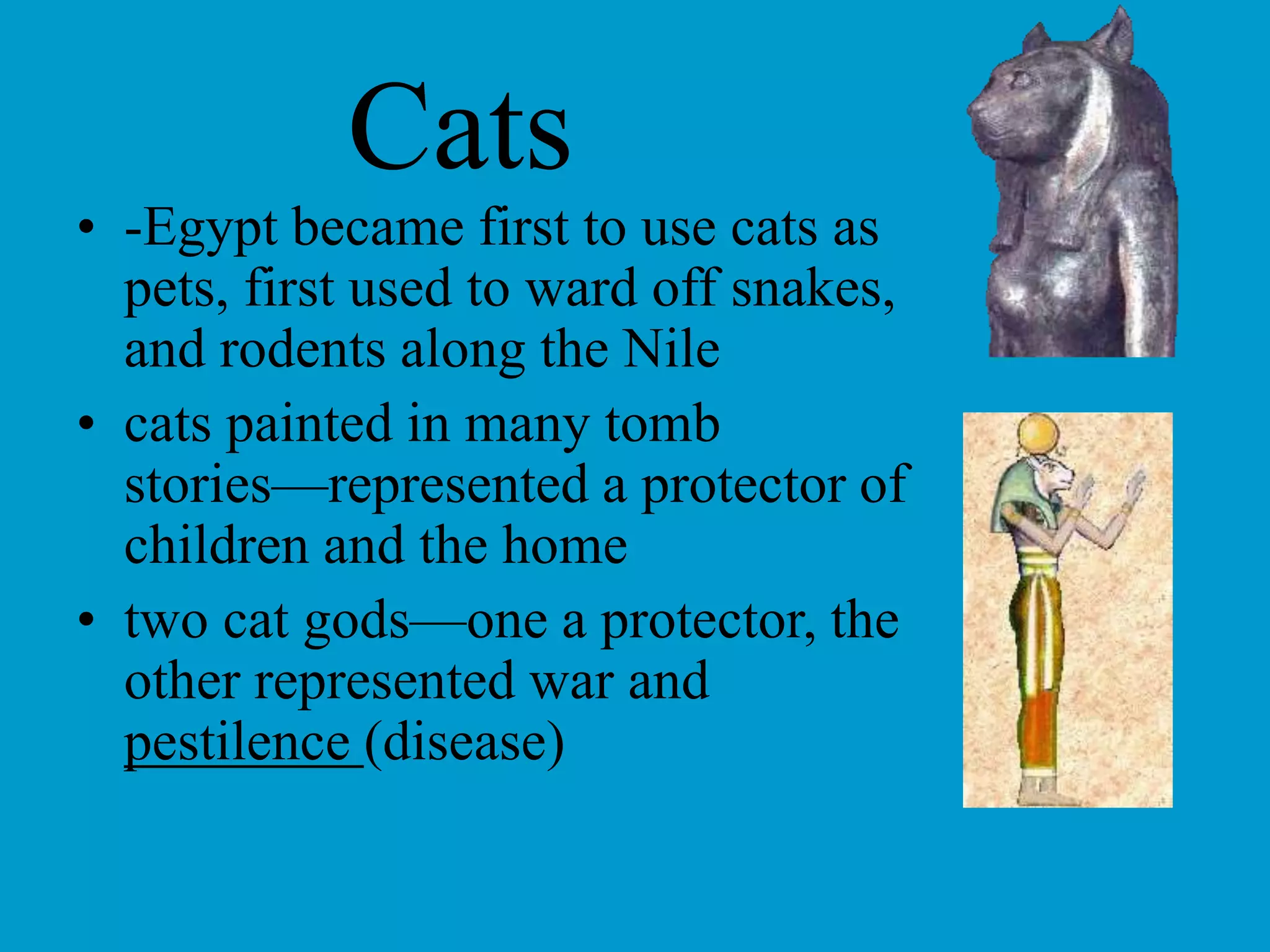 Ancient_Egyptian_Religion.ppt | Cats | Pets