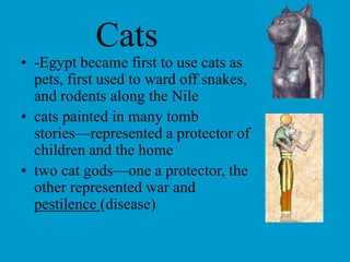 Ancient_Egyptian_Religion.ppt | Cats | Pets