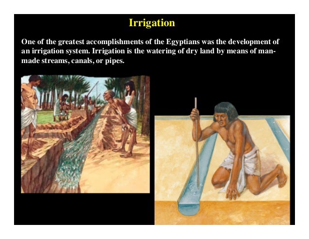 Nile Irrigation Ancient Egypt