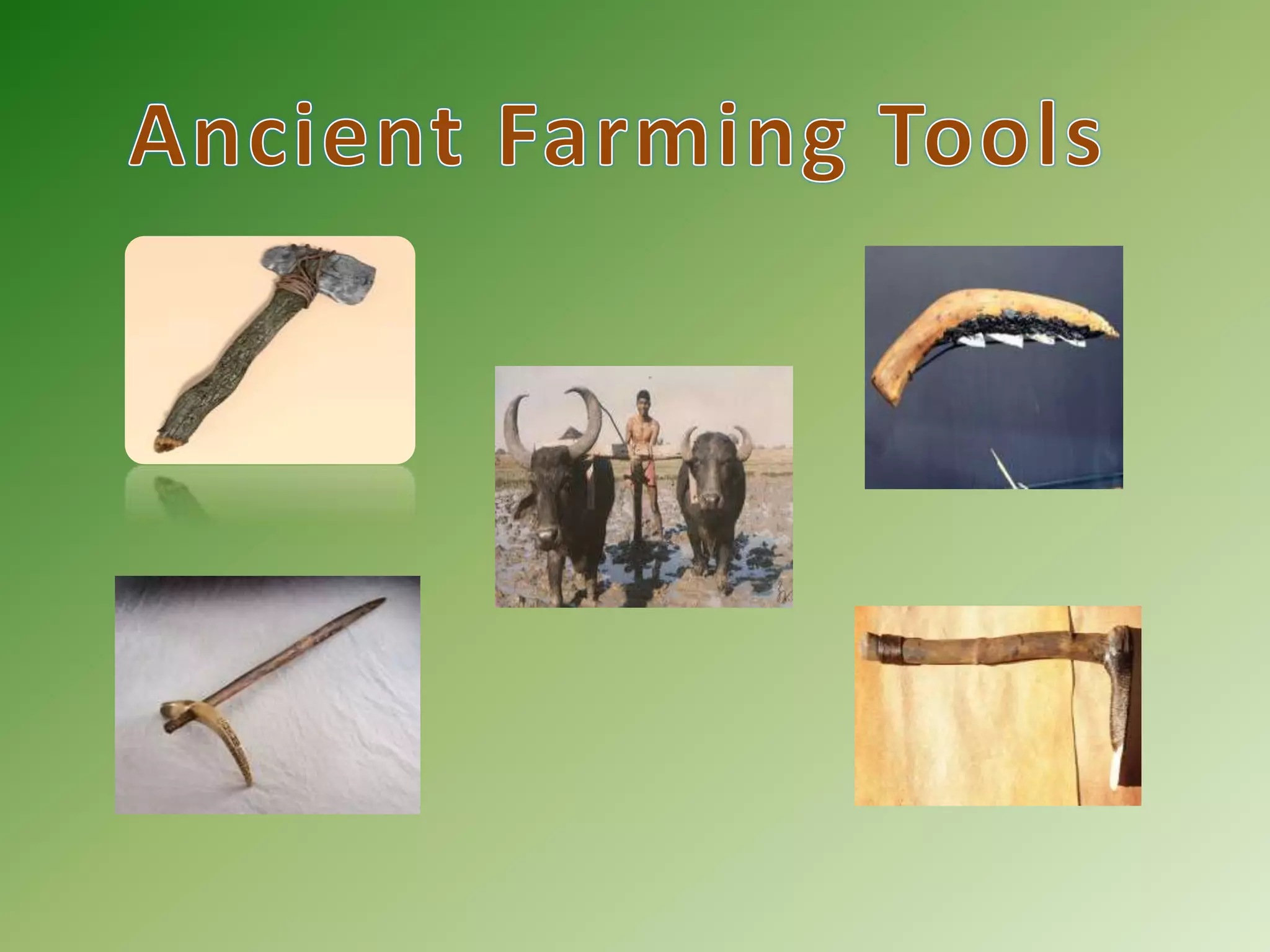 Ancient Farming Tools, Italy | PPTX