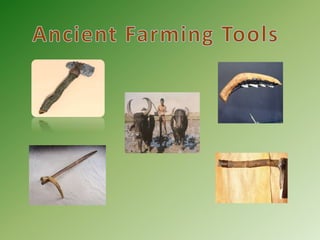 Egyptian Peasants Tools