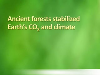 Ancient forests stabilized earth’s co2 and climate | PPT
