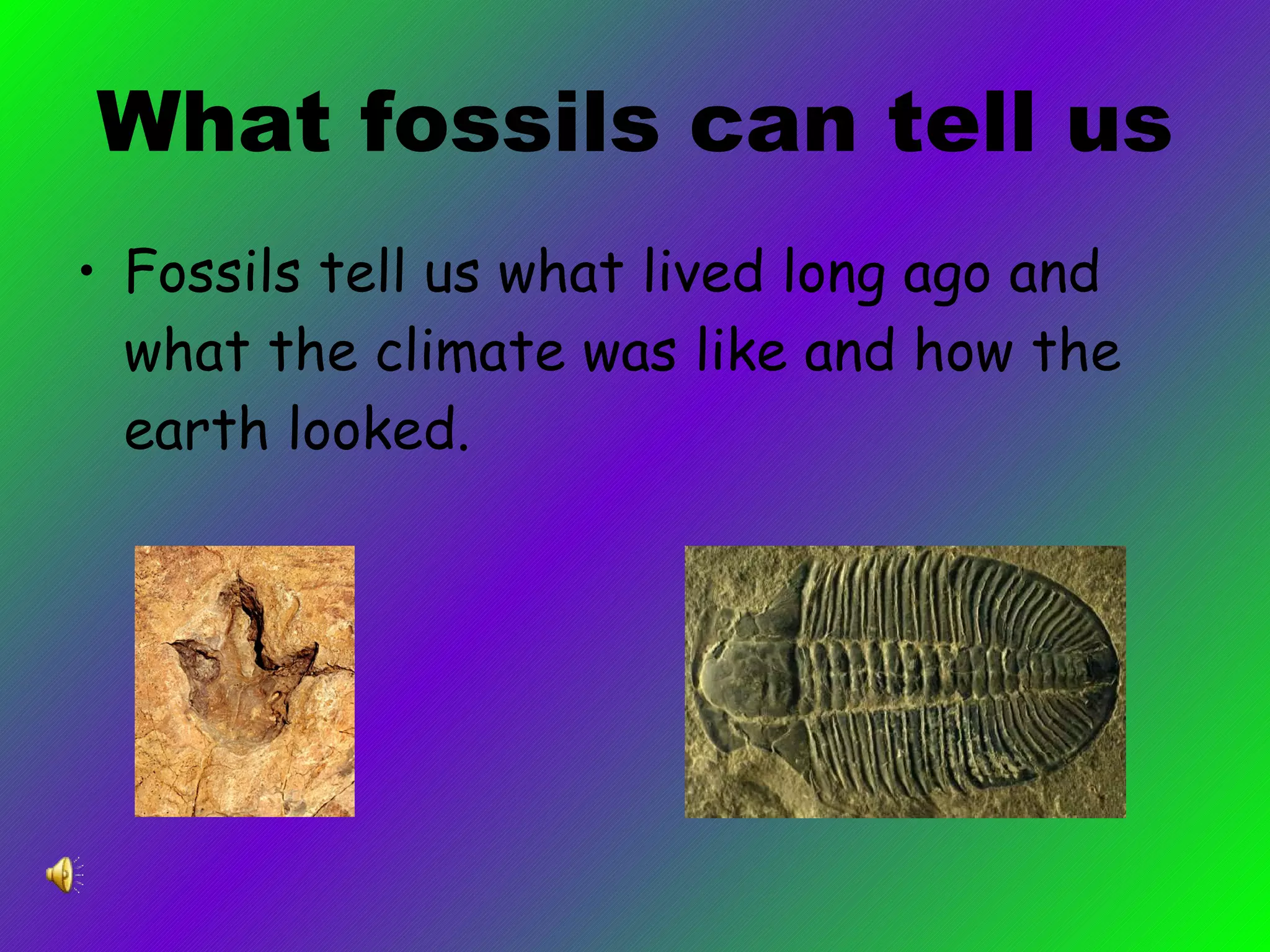 Ancient fossils by group 8 | PPT