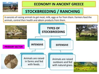 Ancient greece life culture | PPTX