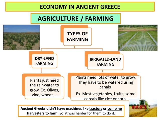 Greek Farming And Cities