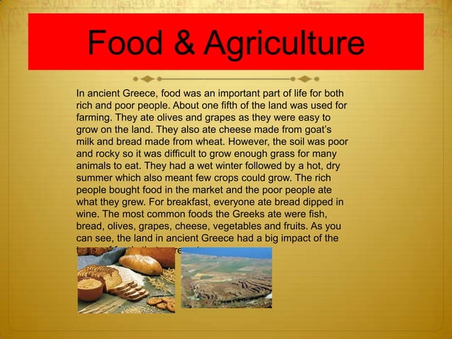Ancient greece report | PPT