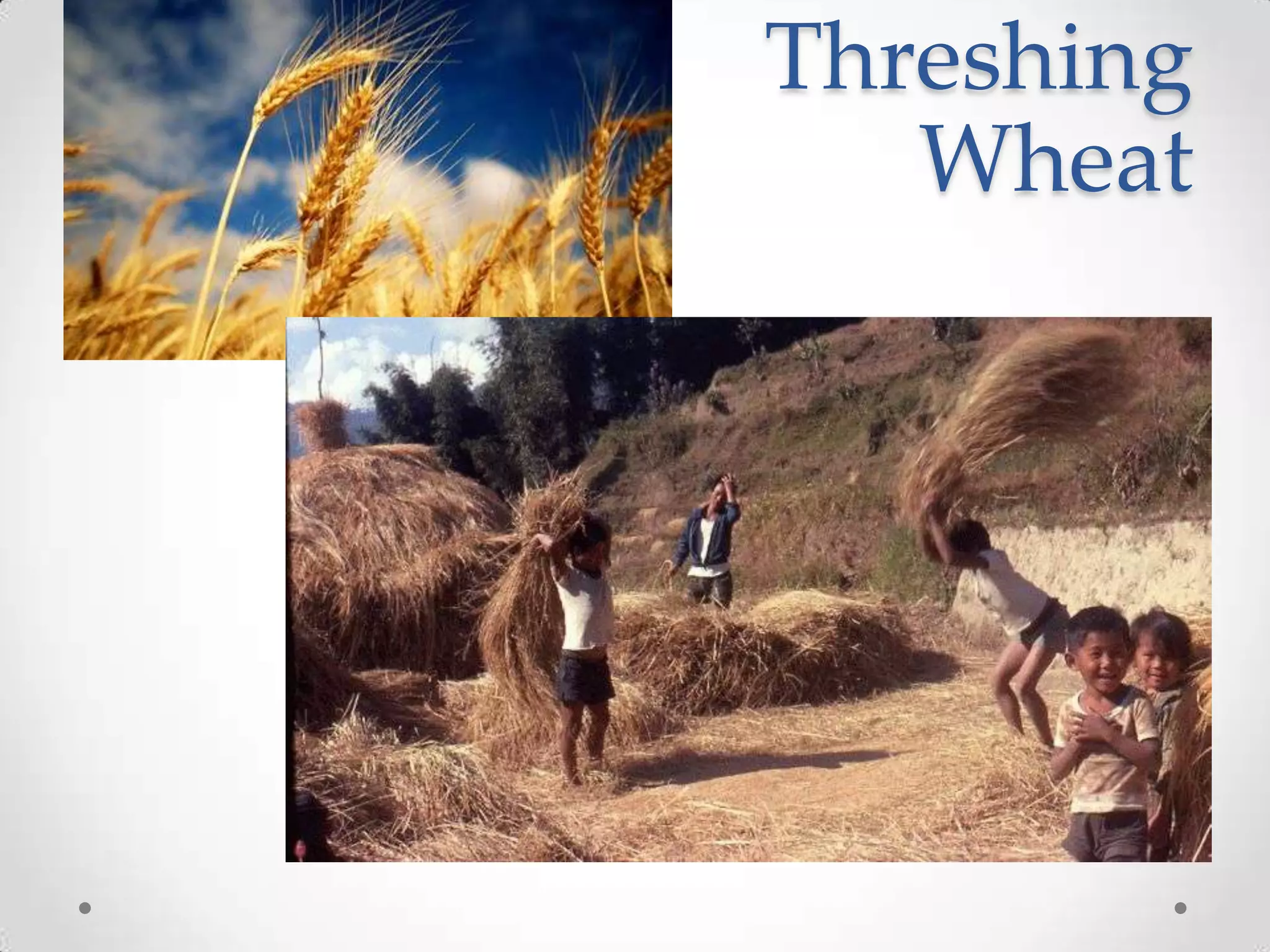Ancient greek agriculture | PPT