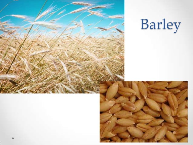 Ancient greek agriculture | PPT | Free Download