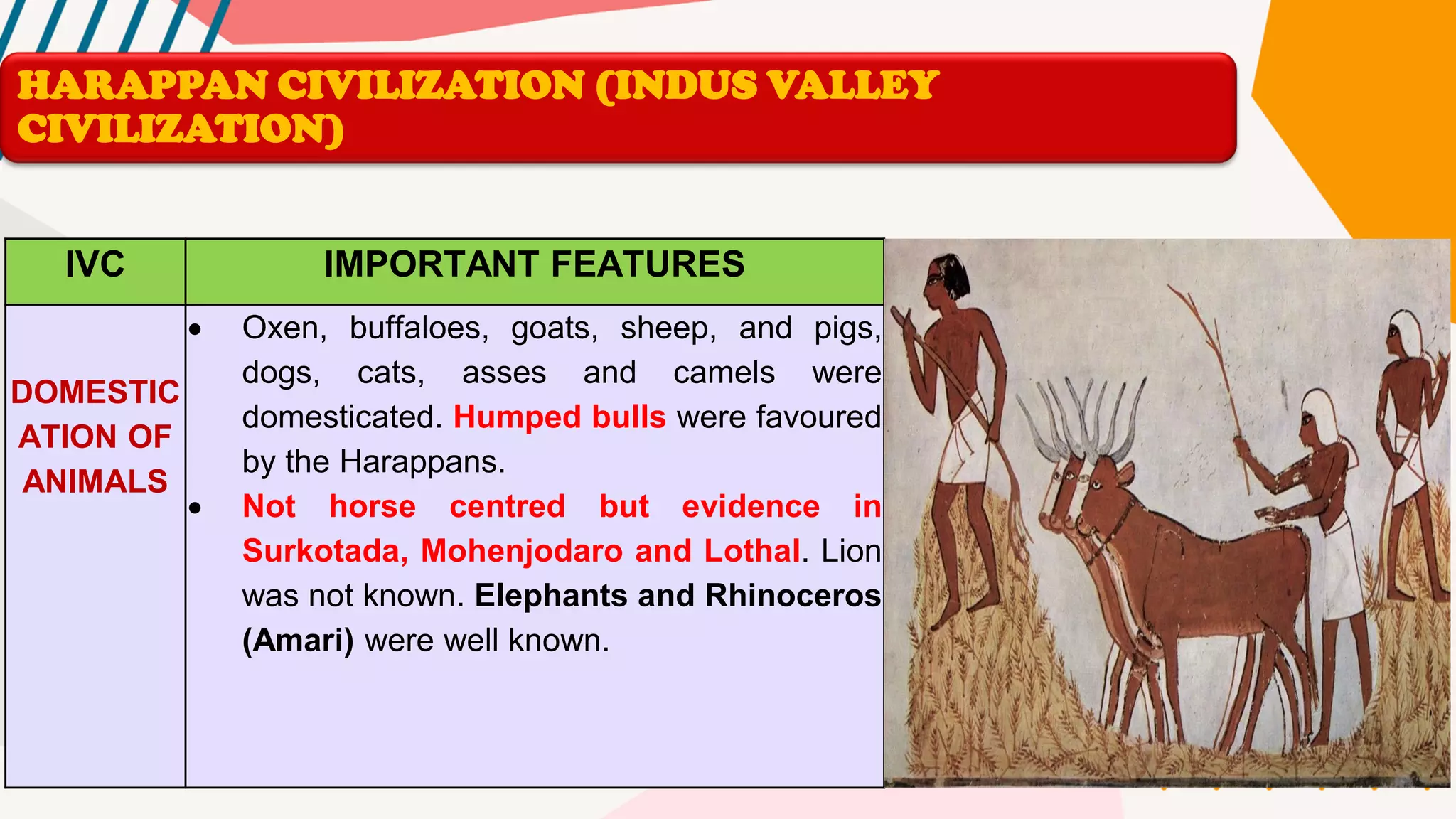 Ancient History.pdf