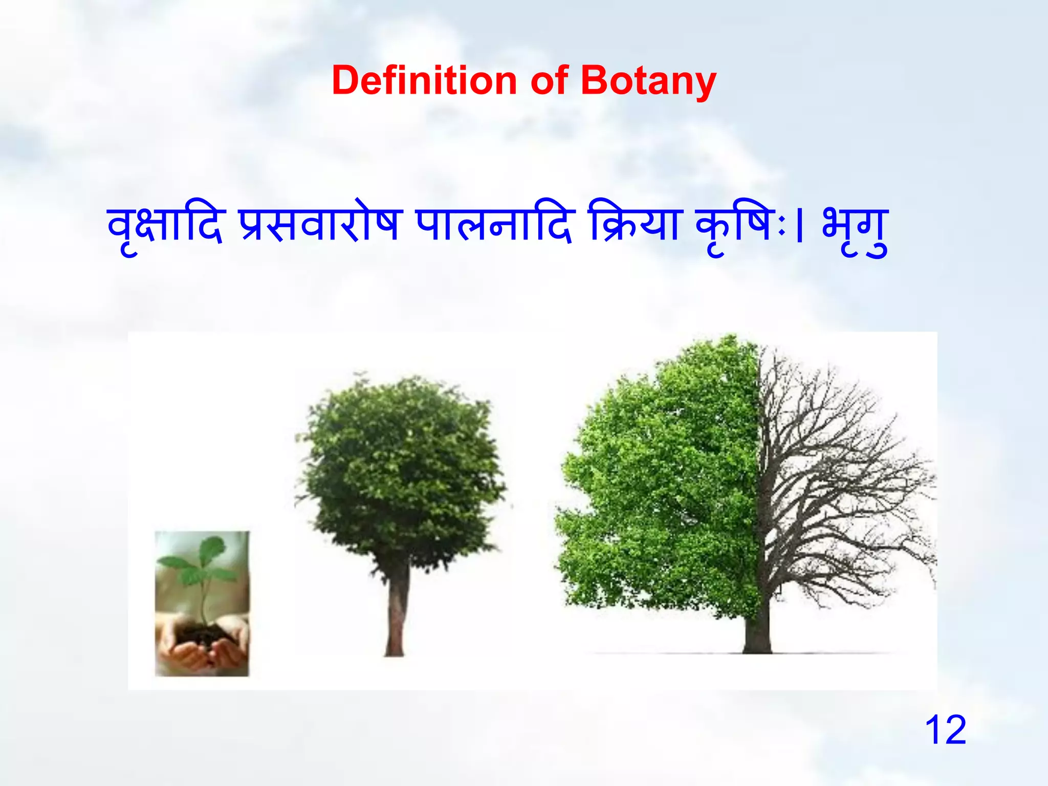 Ancient indian botany as depicted in vastu texts | PDF | Woodworking ...