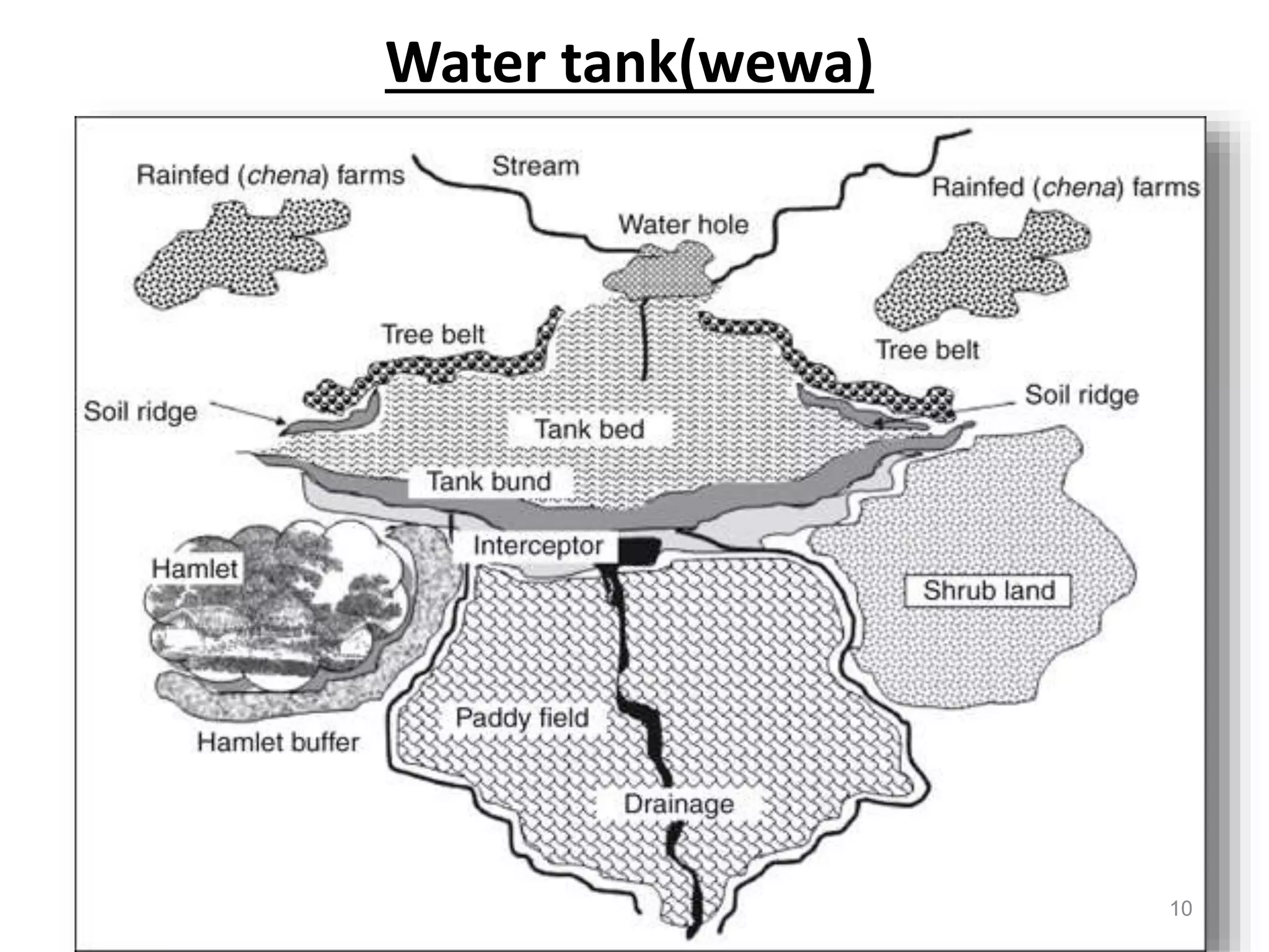 Ancient irrigation system | PPTX