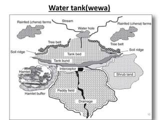 Ancient irrigation system | PPTX