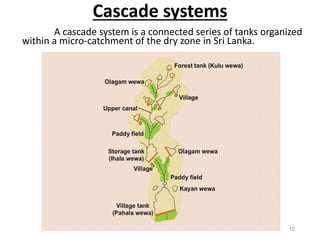 Ancient irrigation system | PPTX