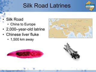 Ancient Latrines | PPTX