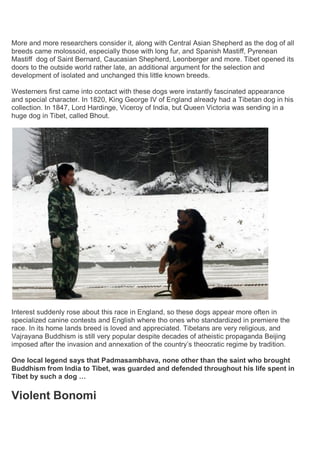 Ancient mystic or royal mastiff | PDF